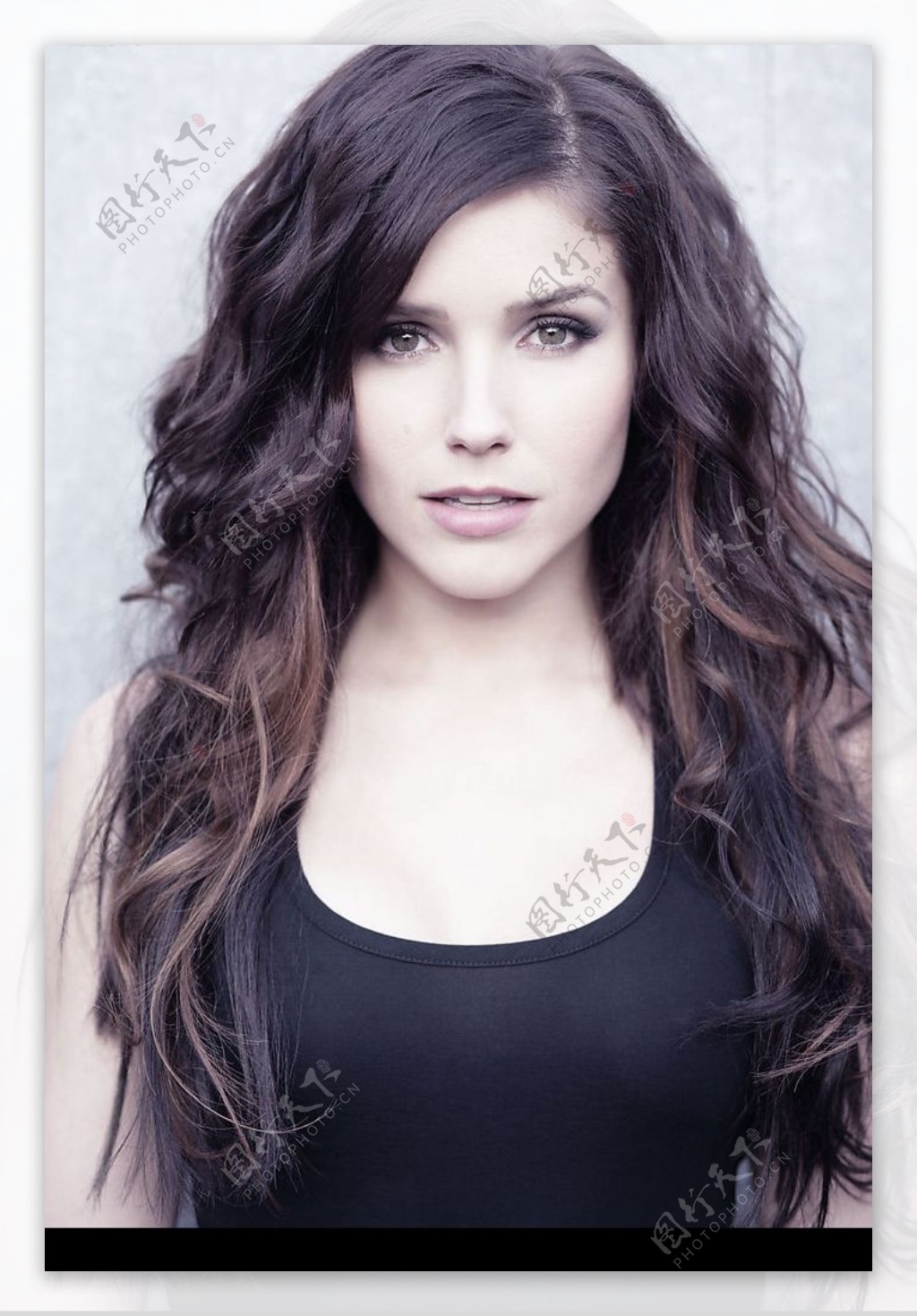 索菲娅183布什图片素材-编号12631902-图行天下