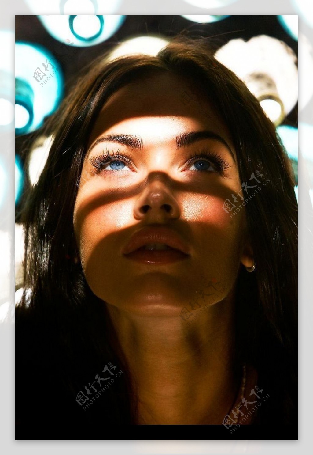 梅根183福克斯图片素材-编号12692482-图行天下