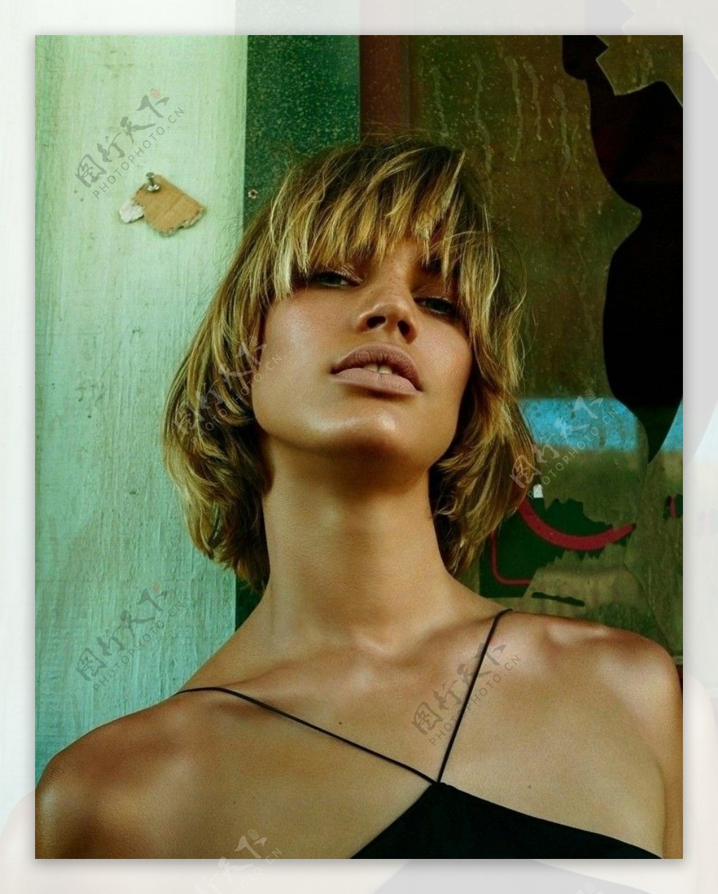 丽安183哈肯图片素材-编号13304702-图行天下