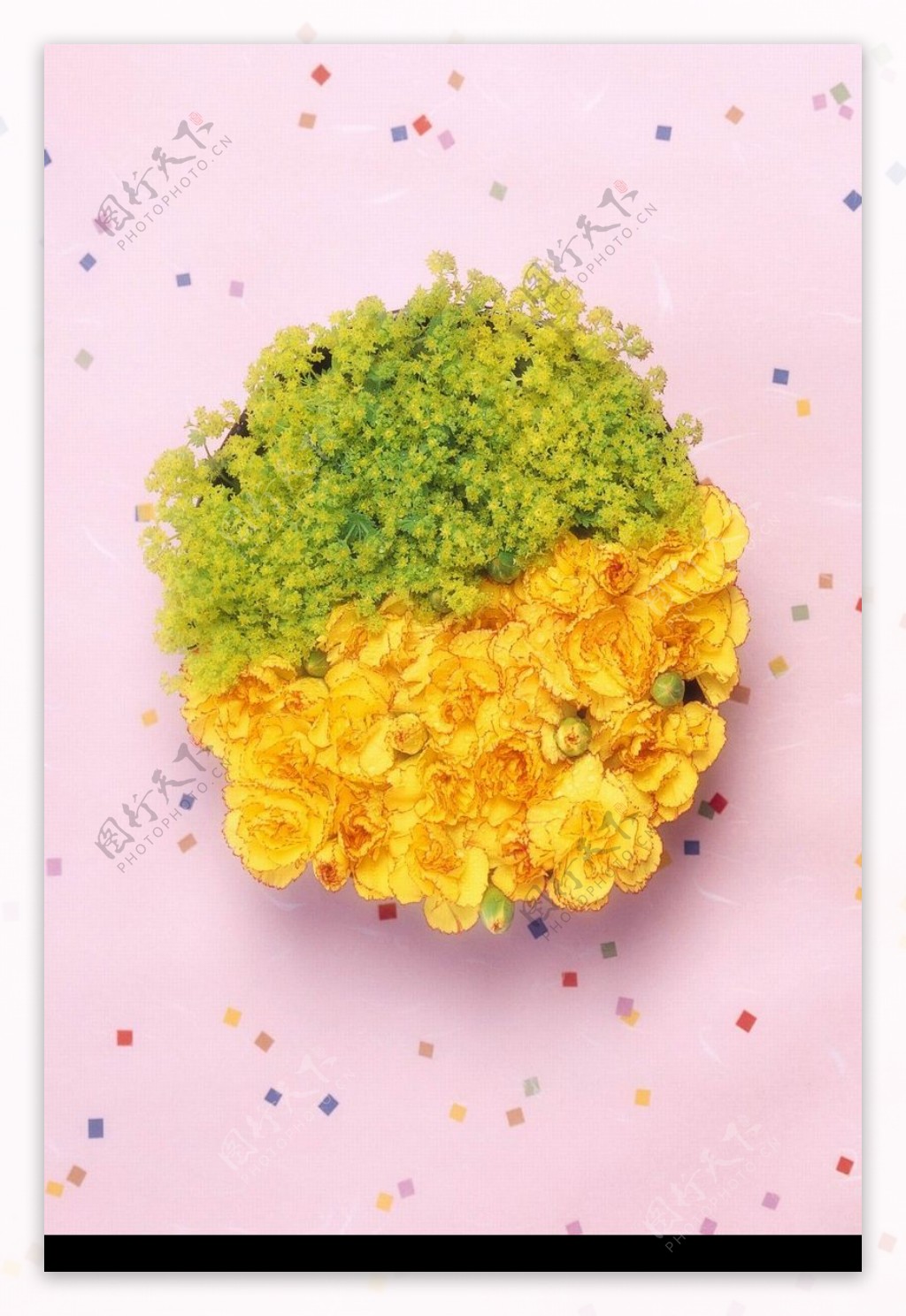 花卉艺术0089图片素材-编号20063222-图行天下