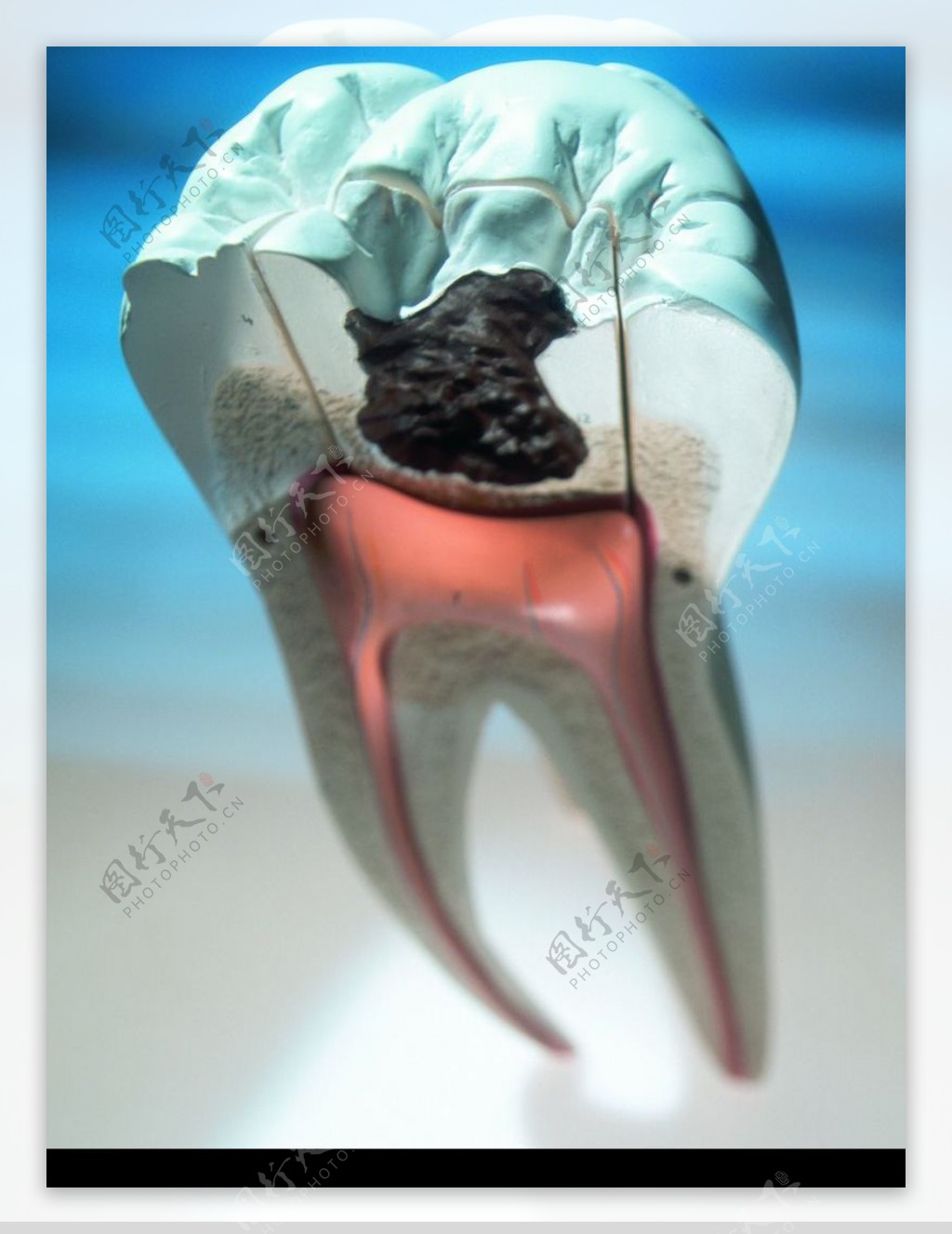 现代医学0258图片素材-编号20195062-图行天下