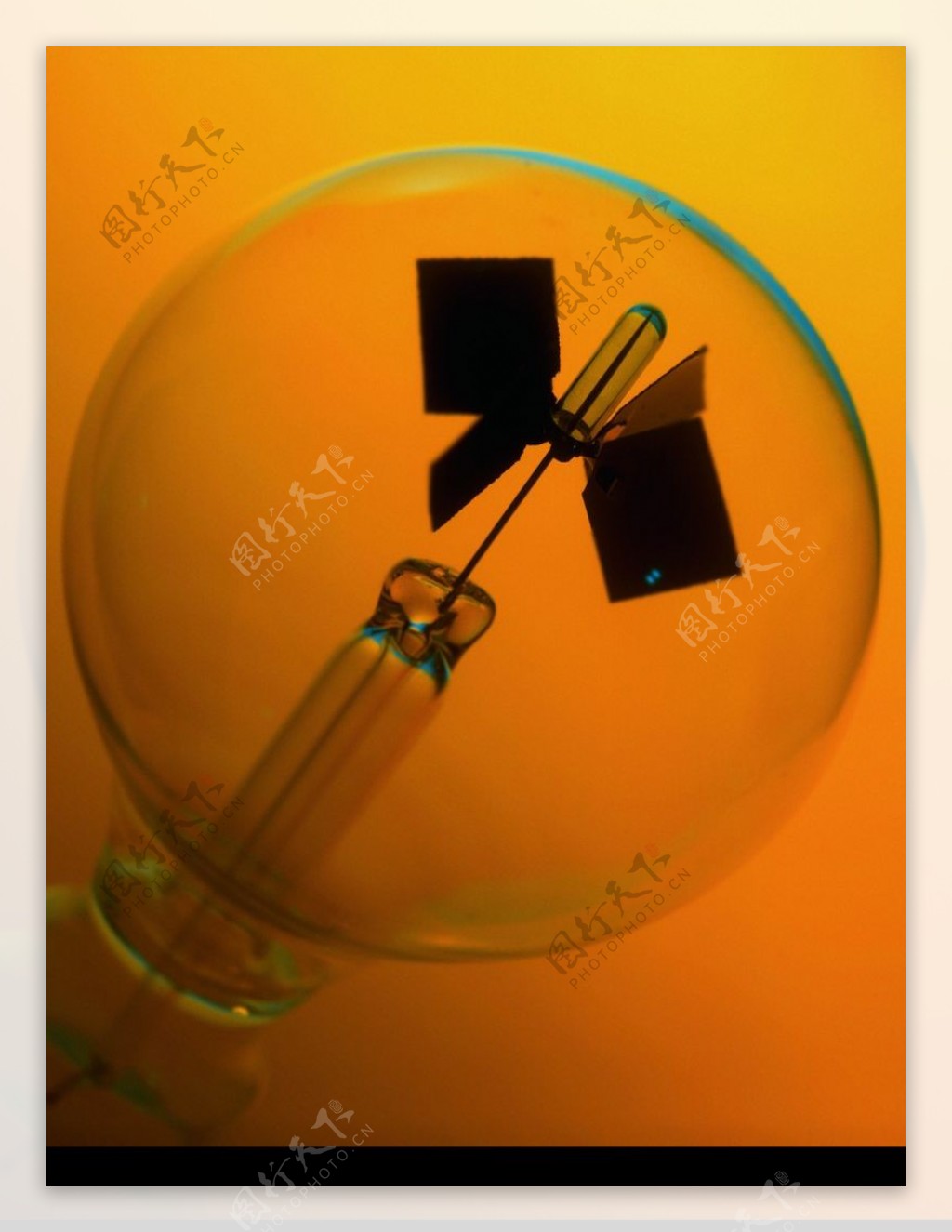 医学解剖0177图片素材-编号20295842-图行天下