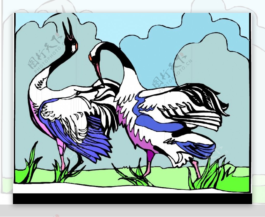 鸟类动物0354图片素材-编号20611972-图行天下