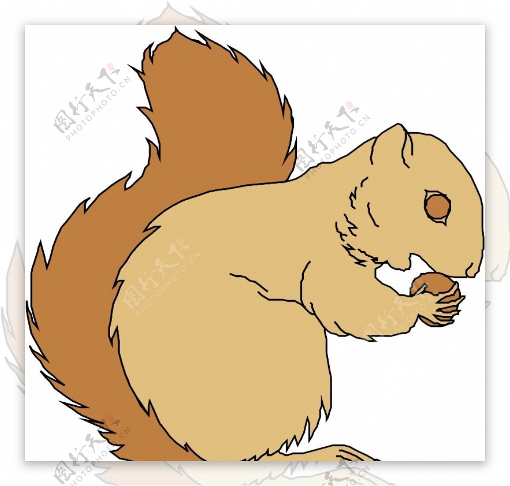 野生动物4079图片素材-编号20659062-图行天下