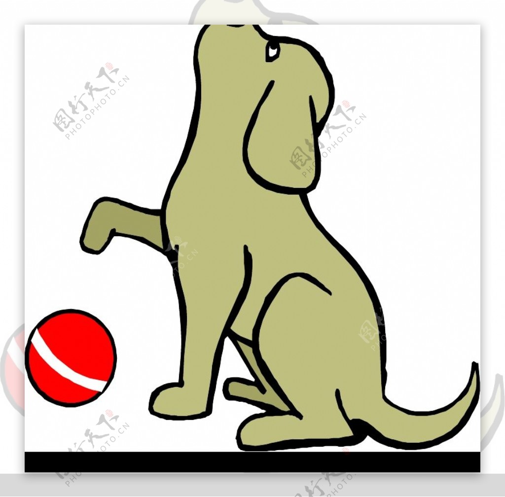 珍稀动物0242图片素材-编号20857342-图行天下