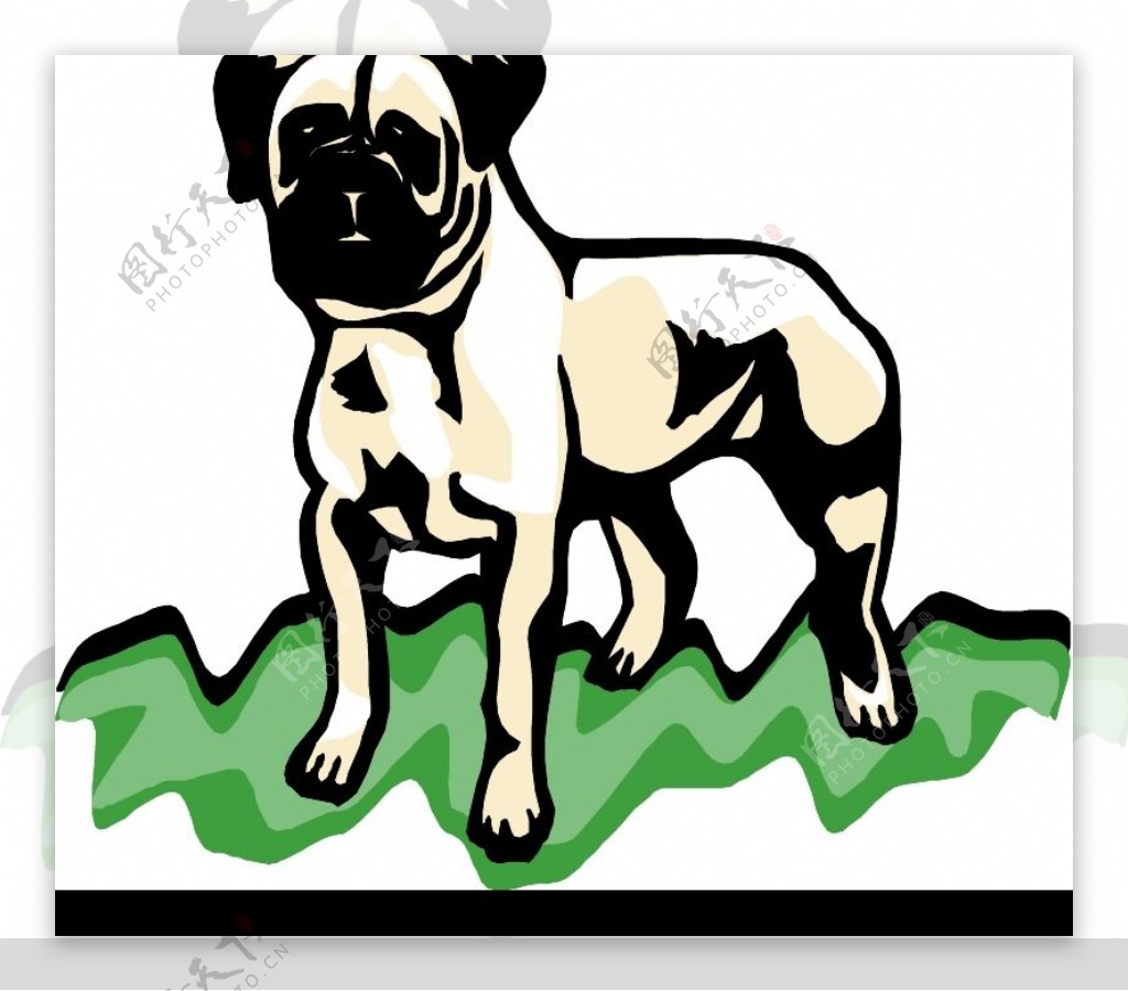 珍稀动物0458图片素材-编号20861322-图行天下