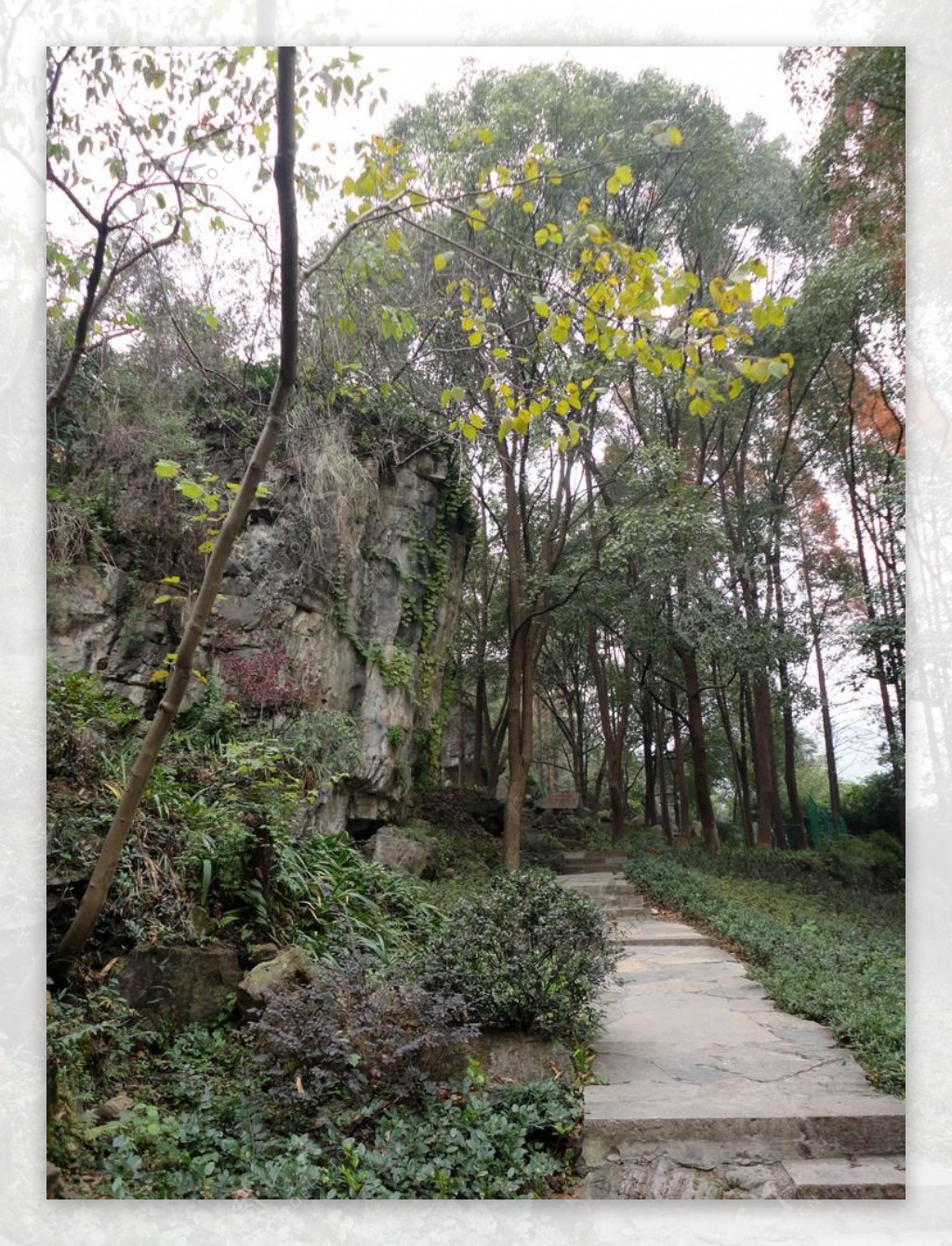 山路图片素材-编号23004162-图行天下