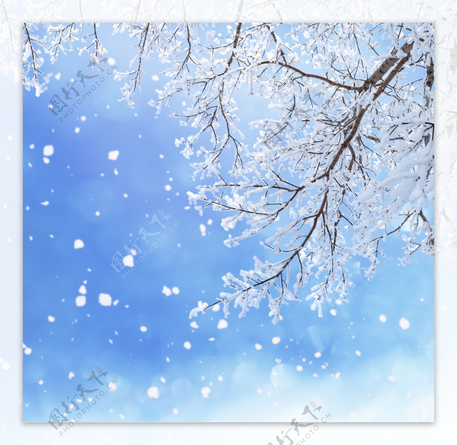 冰雪背景图片素材-编号23318842-图行天下