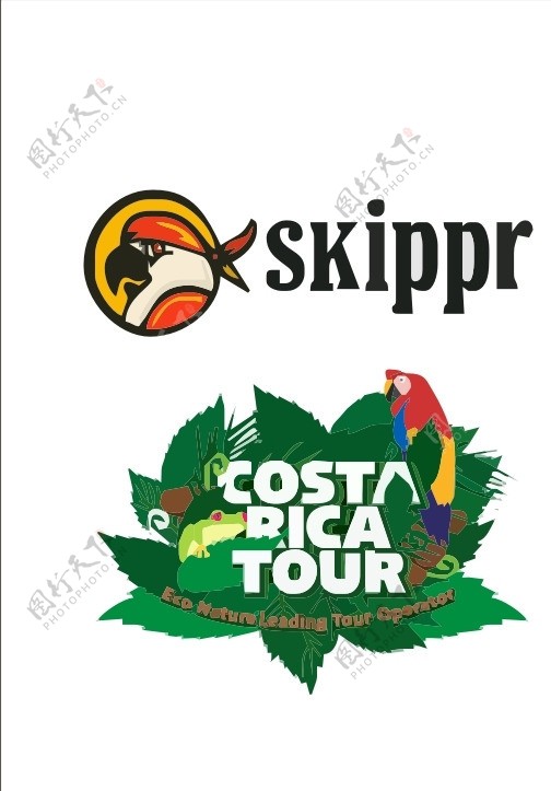 鹦鹉logo图片素材-编号23506492-图行天下