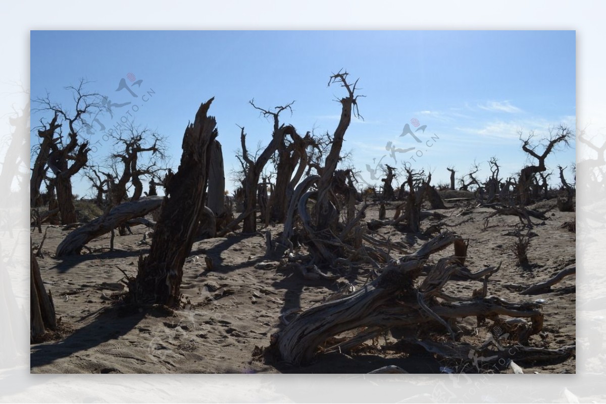 戈壁滩风光图片素材-编号24080972-图行天下