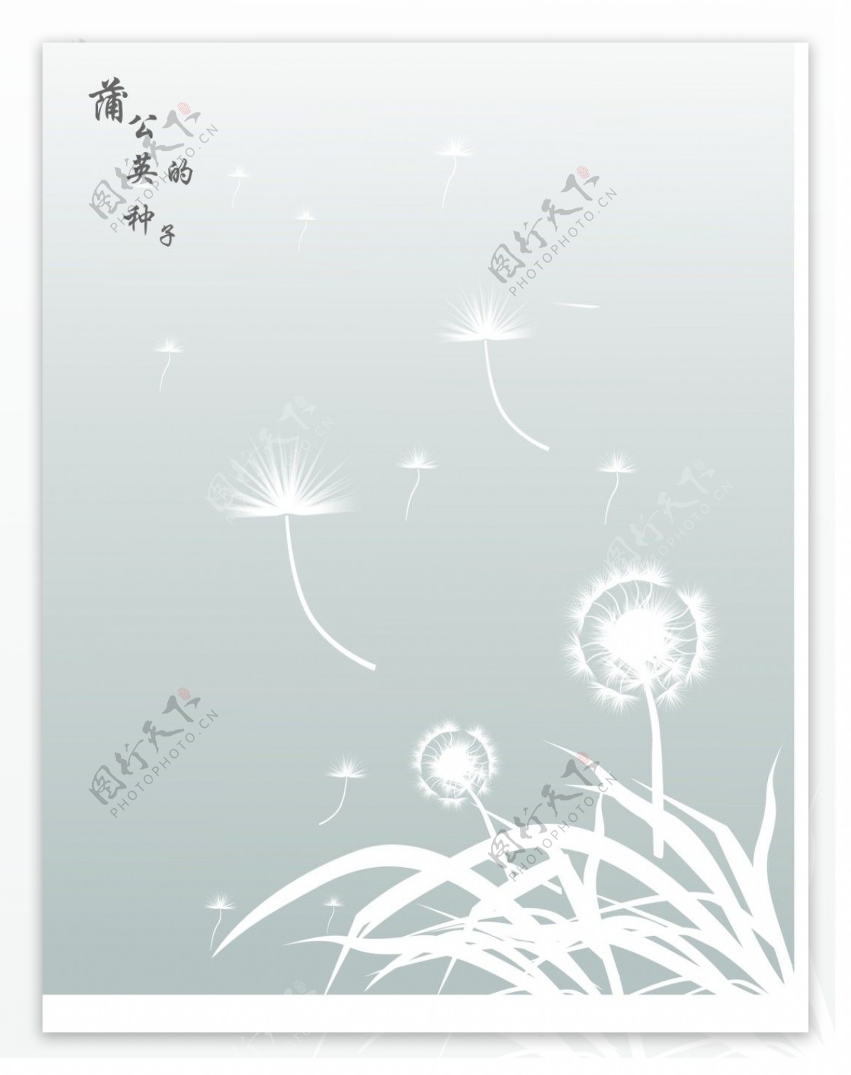 蒲公英矢量图图片素材-编号26581262-图行天下