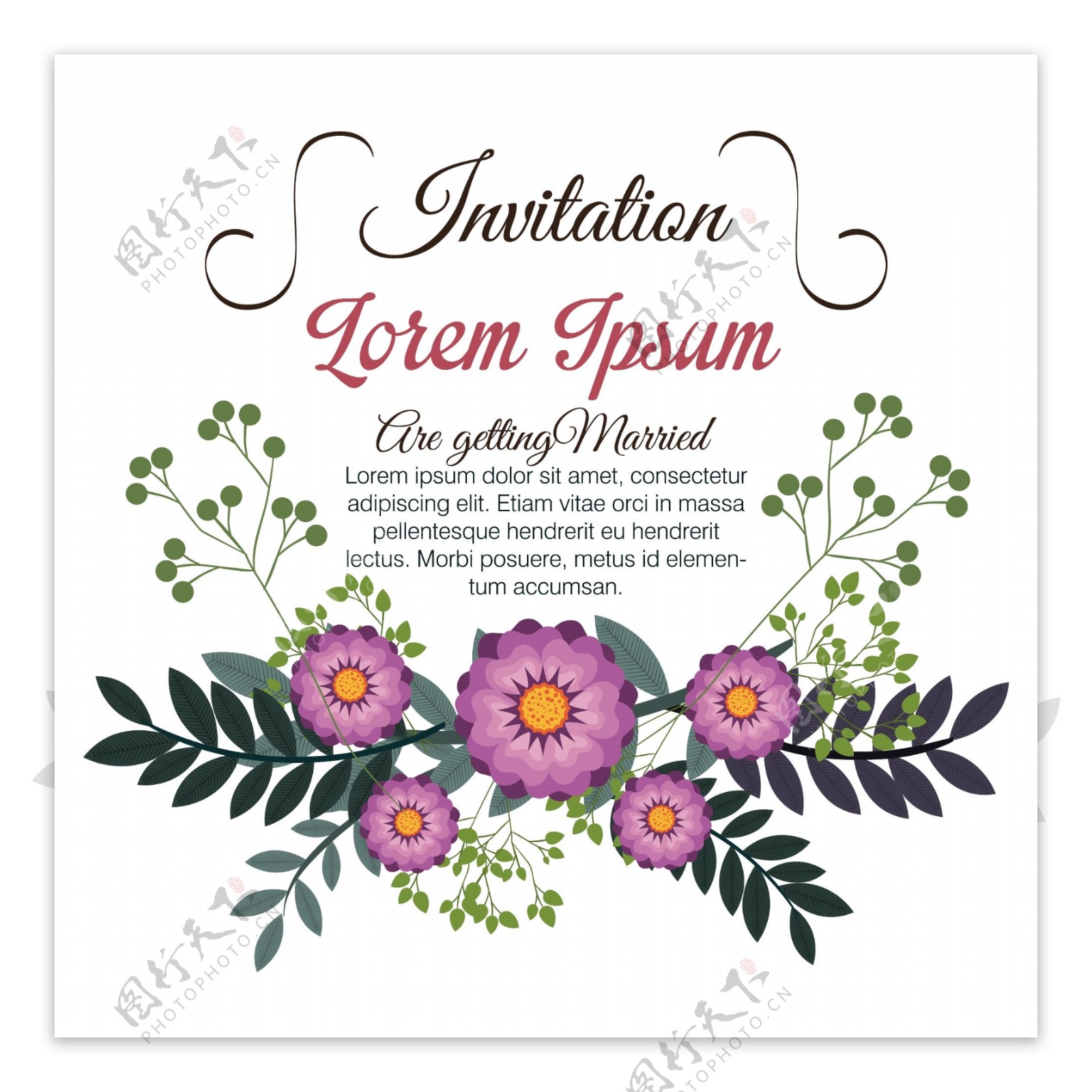 紫色花朵边框图片素材-编号29236172-图行天下