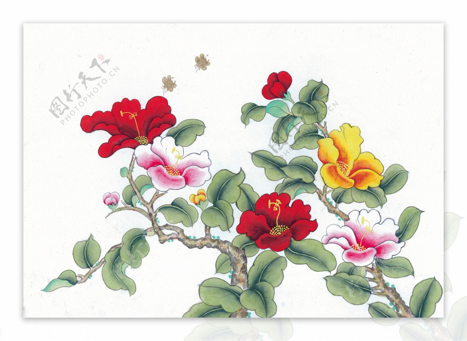 中式花鸟工笔画图片素材-编号29638942-图行天下