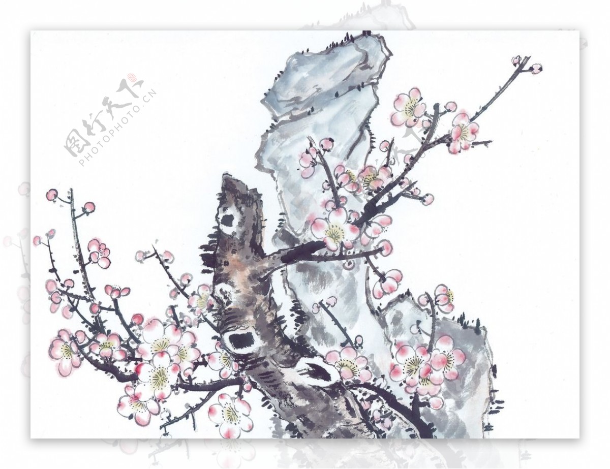 梅花国画图片素材-编号31971062-图行天下