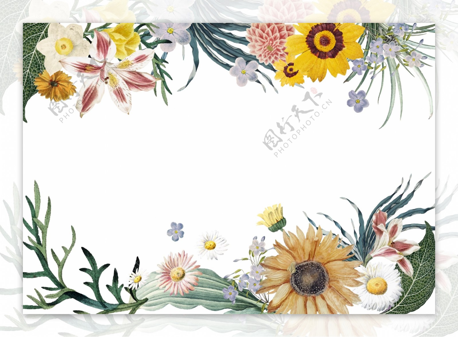 花边框图片素材-编号33203452-图行天下